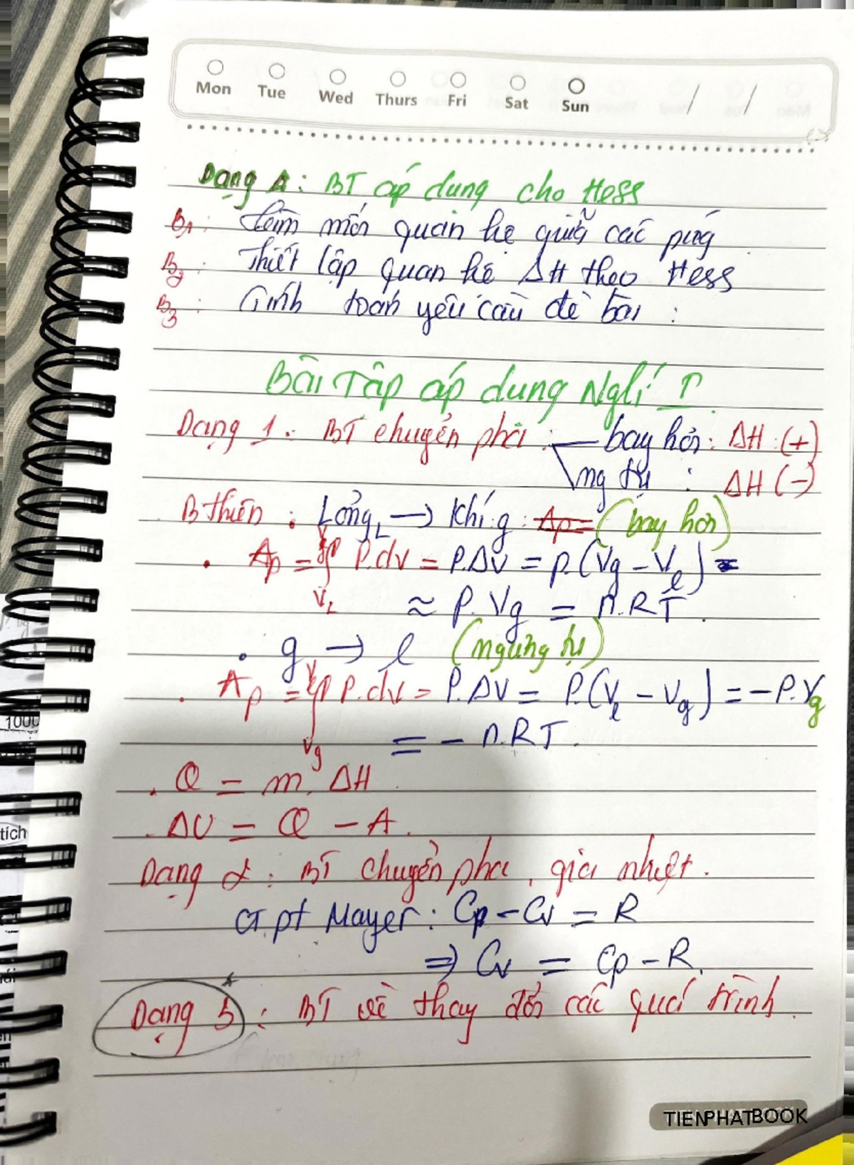 16 10 01 09 2024 Microsoft Lens - O O O O O Mon O Tue Wed Thurs Fri Sat ...