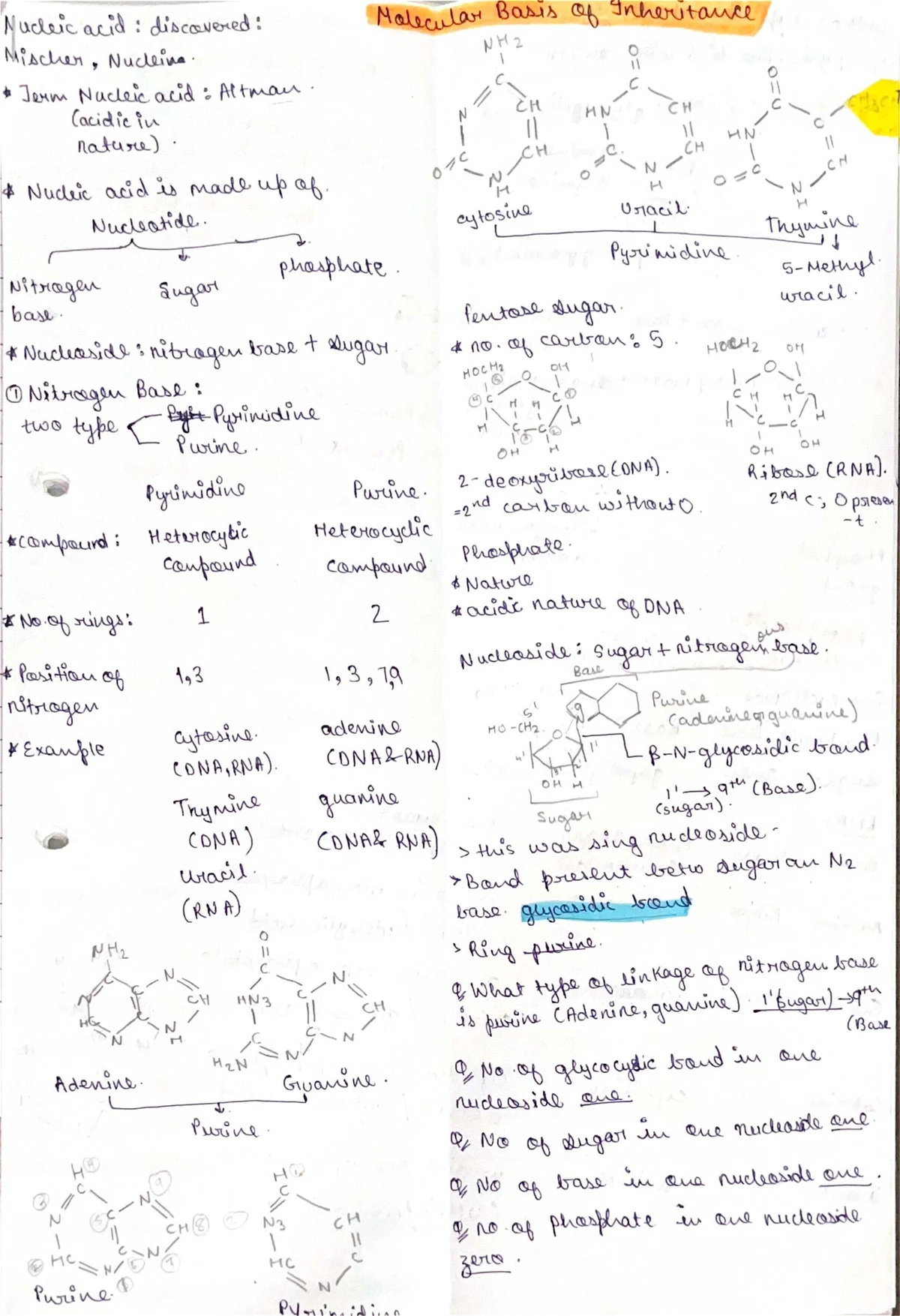 Biotechnology Applications in Medicine & Agriculture: Insights and ...