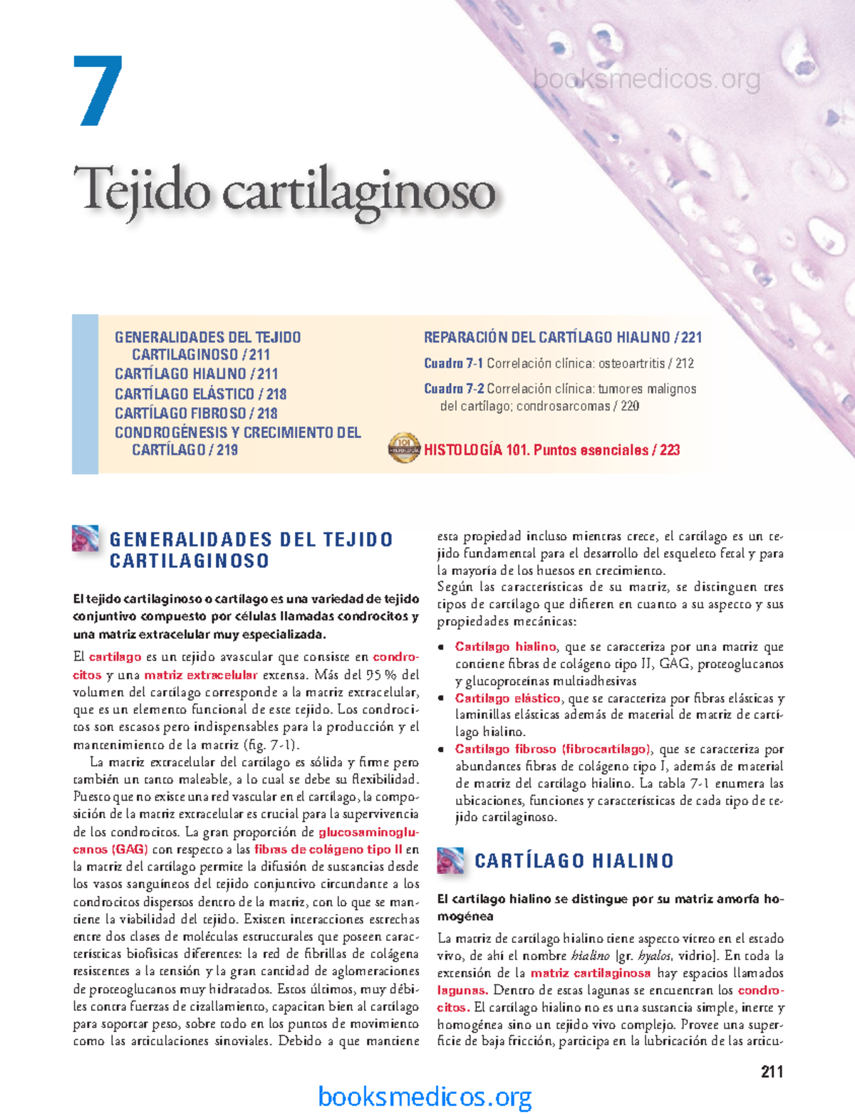 Tejido Cartilaginoso: Generalidades y Tipos - Histología 101 - Studocu