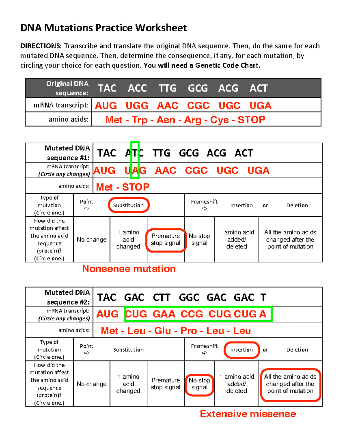 Dna mutations practice worksheet answers - DNA Mutations Practice ...