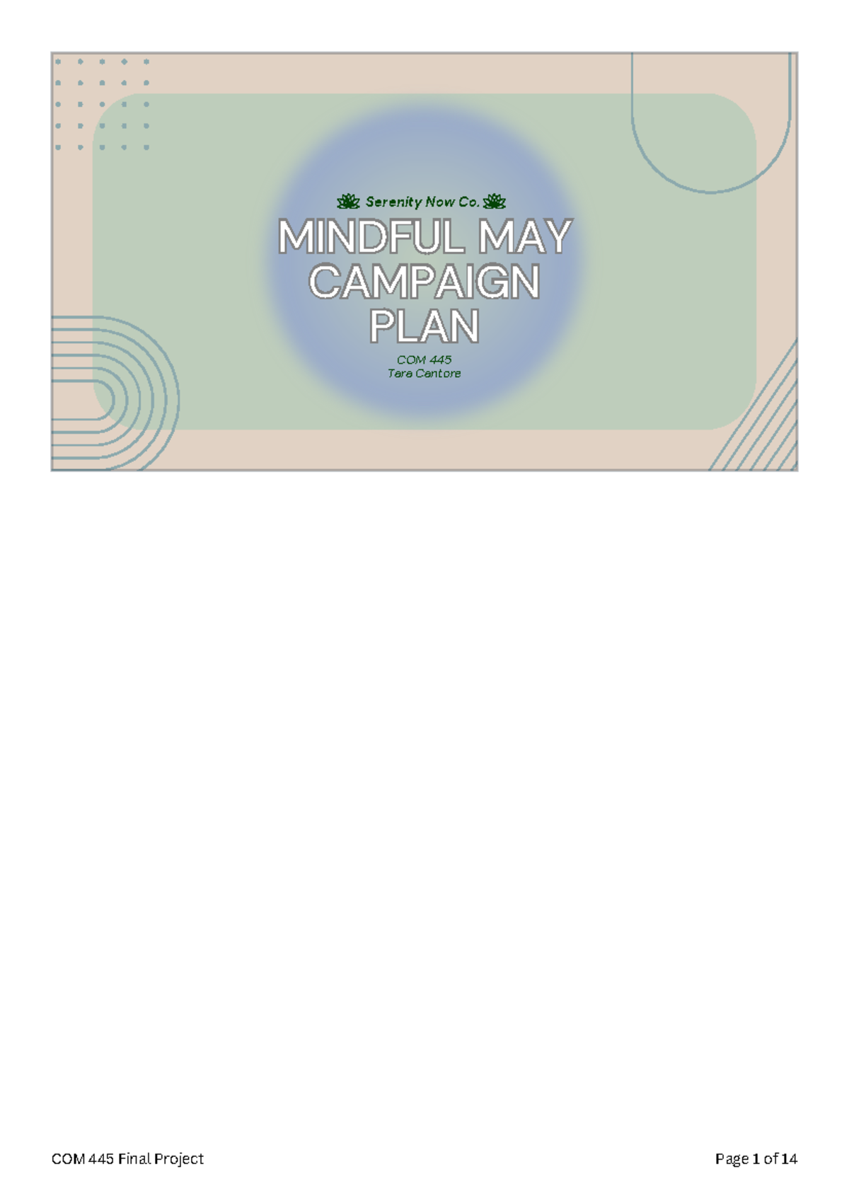 COM 445 Final Project: Mindful May Campaign Plan Overview - Studocu