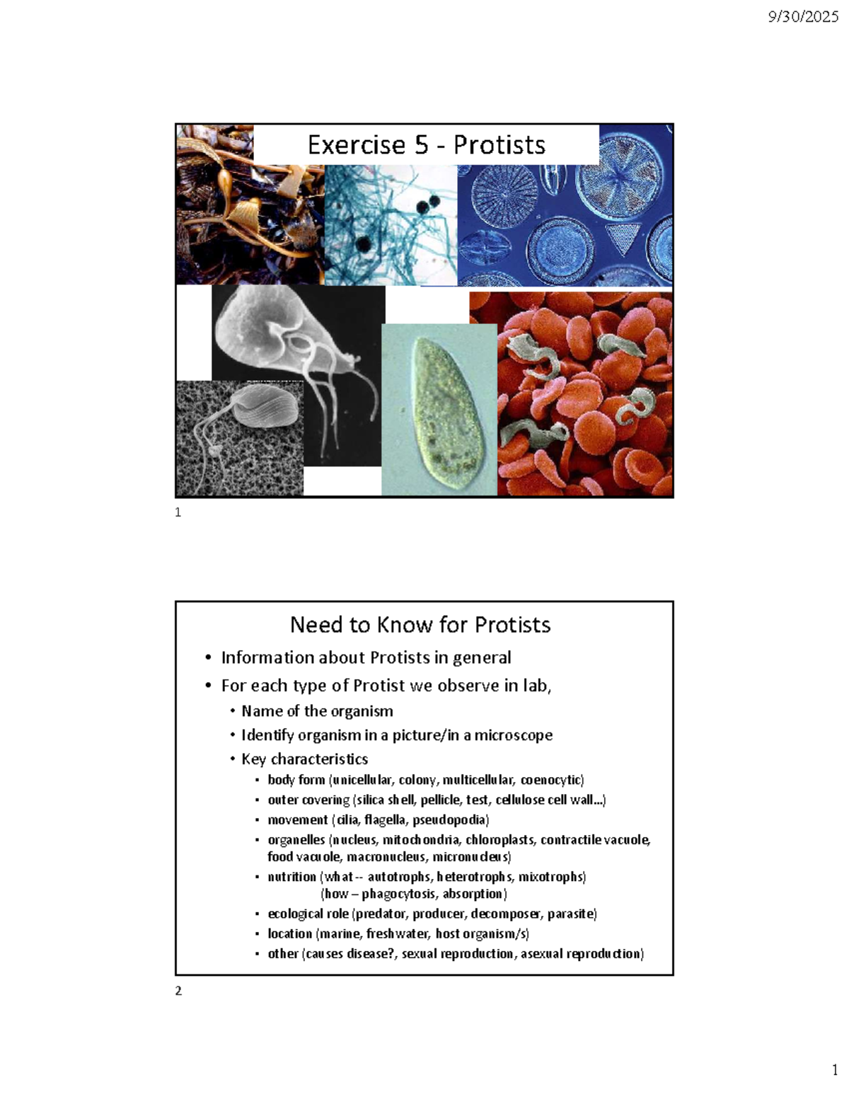 Lab 5: Protists Overview for Fall 2025 – Key Characteristics and ...