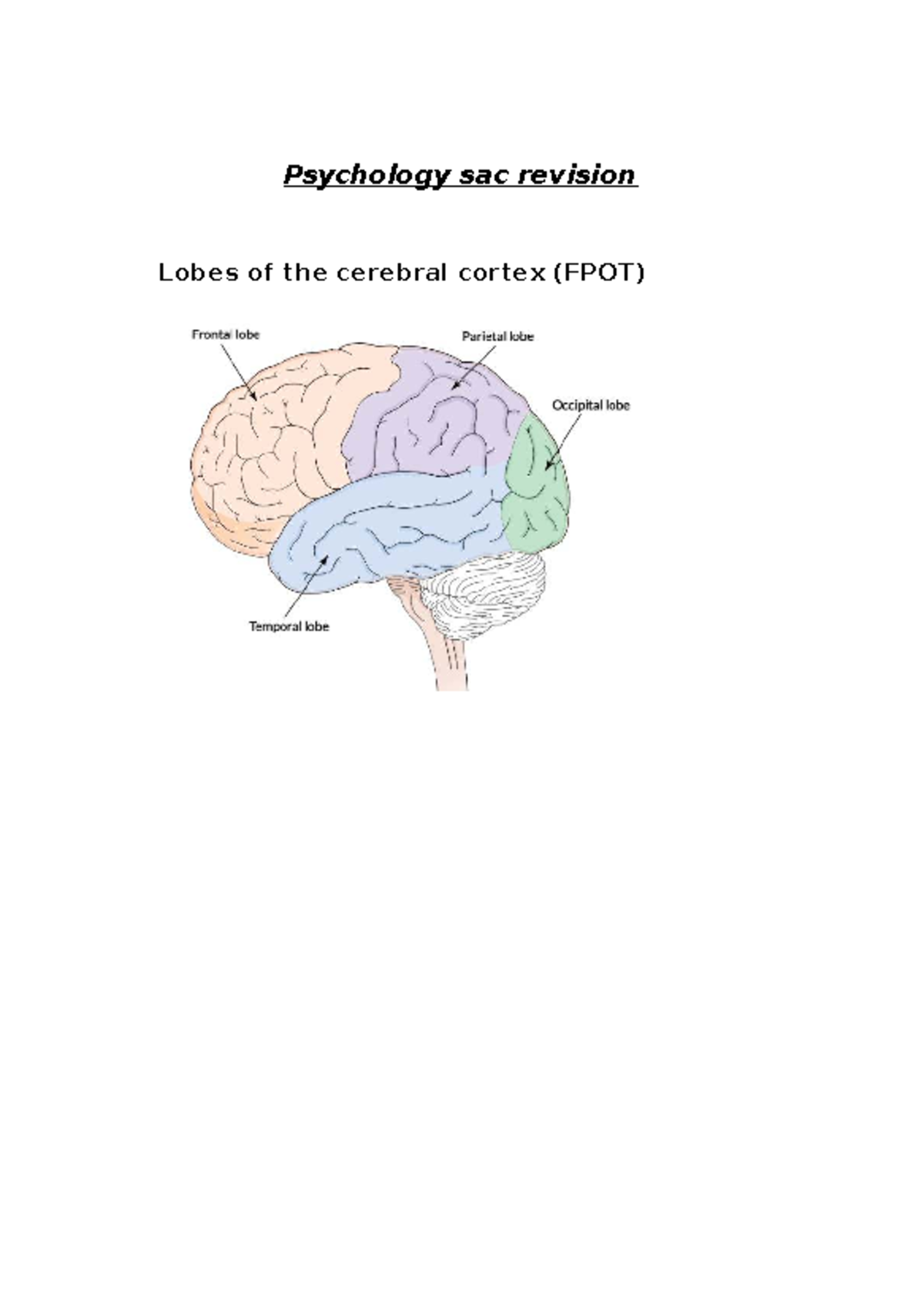 Psychology SAC Revision: Cerebral Cortex Lobes & Functions (FPOT) - Studocu