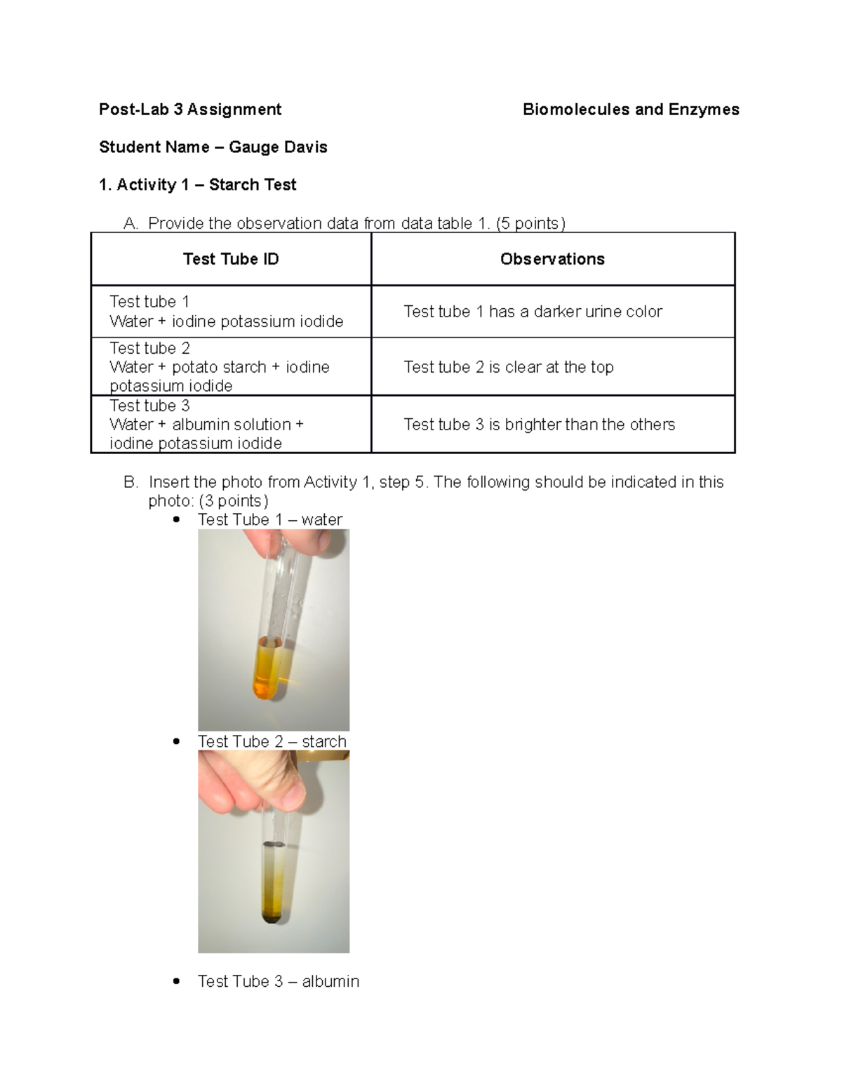 Biomolecules & Enzymes Post-Lab 3 Assignment - Observations and ...