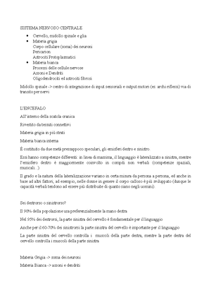Organi cavi e pieni - ORGANI A livello di organizzazione superiore ...