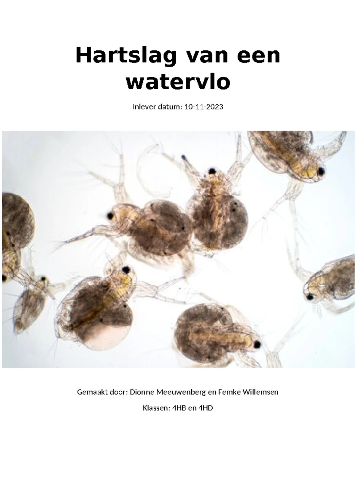 Celdeling in Biologie: Meiose en Mitose Uitleg (Studeersnel v2 ...