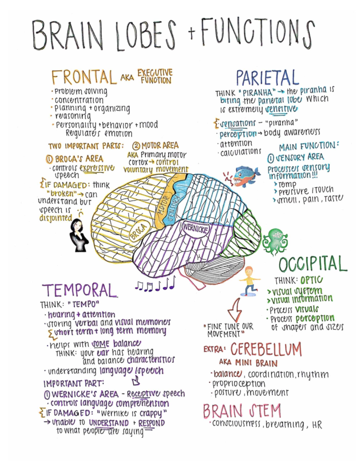 NIH Stroke Scale - Neuro Exam Study Notes (NEURO 101) - Studocu