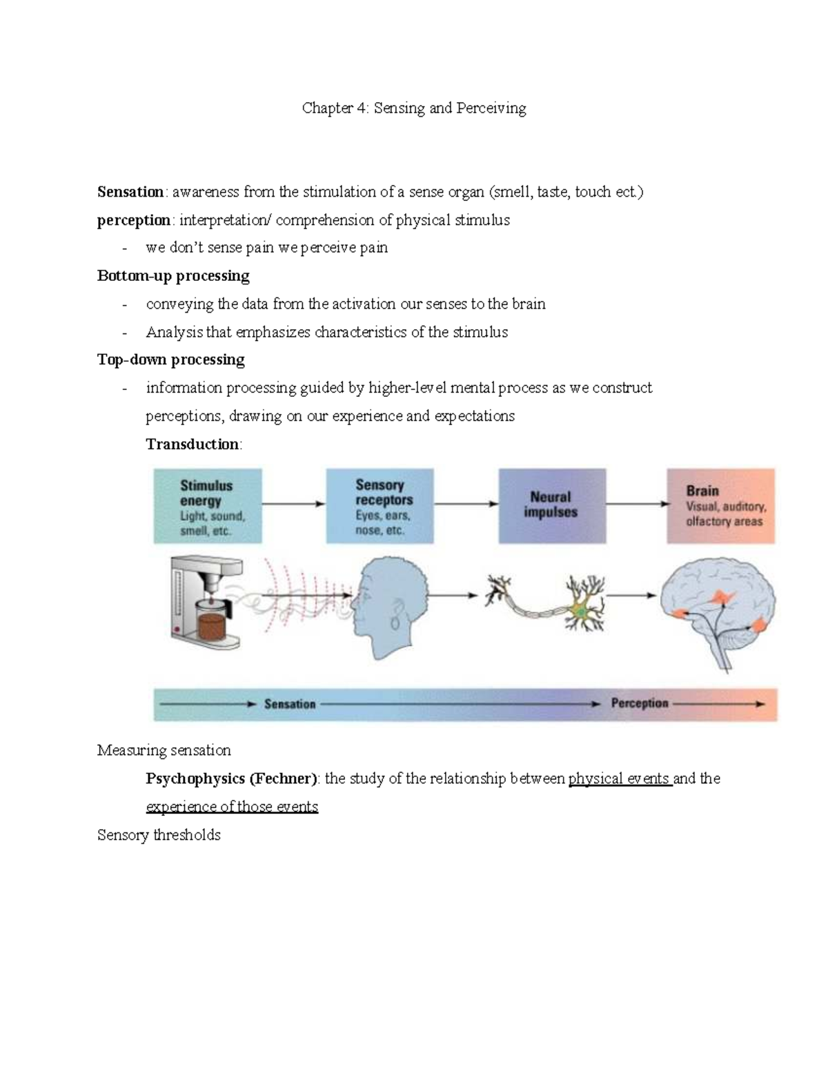Chapter 4: Sensing and Perceiving in Psychology (PSY101) - Studocu