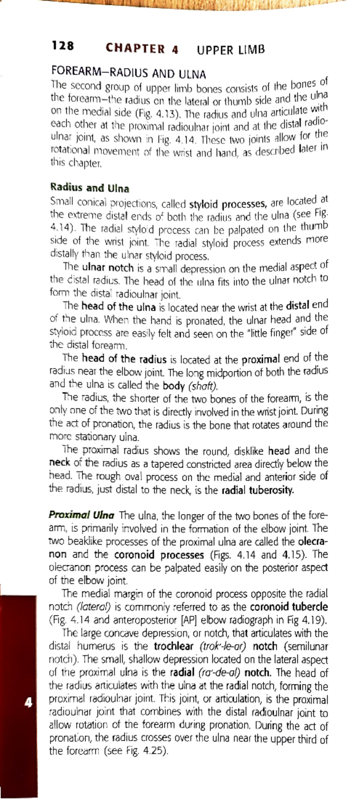 Upper Limb Anatomy: Radius and Ulna Structure - Chapter 4 - 128 CHAPTER 4 UPPER LIMB FOREARM ...
