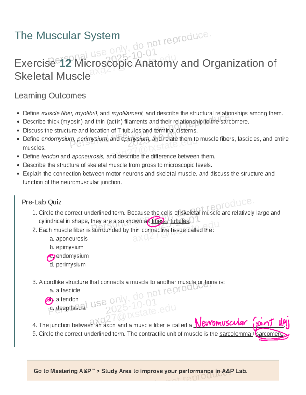 Anatomy Lab - Exercise 12: Microscopic Structure of Skeletal Muscle ...