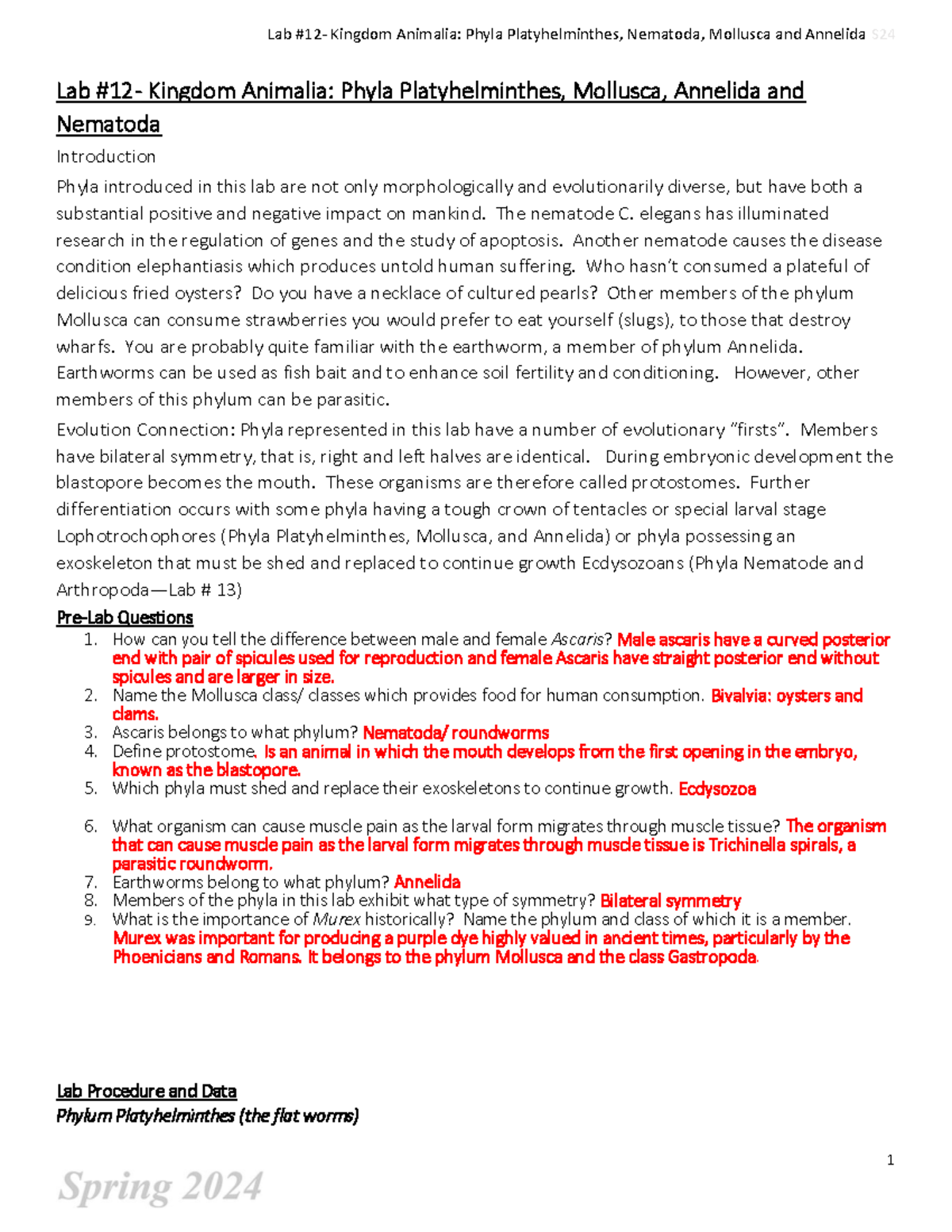 Lab #12 - Exploring Kingdom Animalia: Phyla Platyhelminthes, Mollusca ...