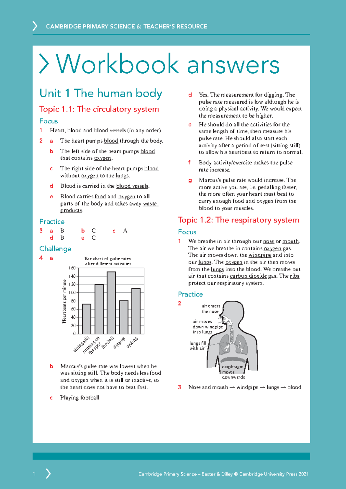 P-science-6-Workbook Answers and Study Notes on Human Body Systems ...