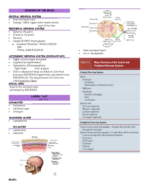 Moina-Lower-Extremity - Muscle Origin Insertion Nerve Supply Action ...