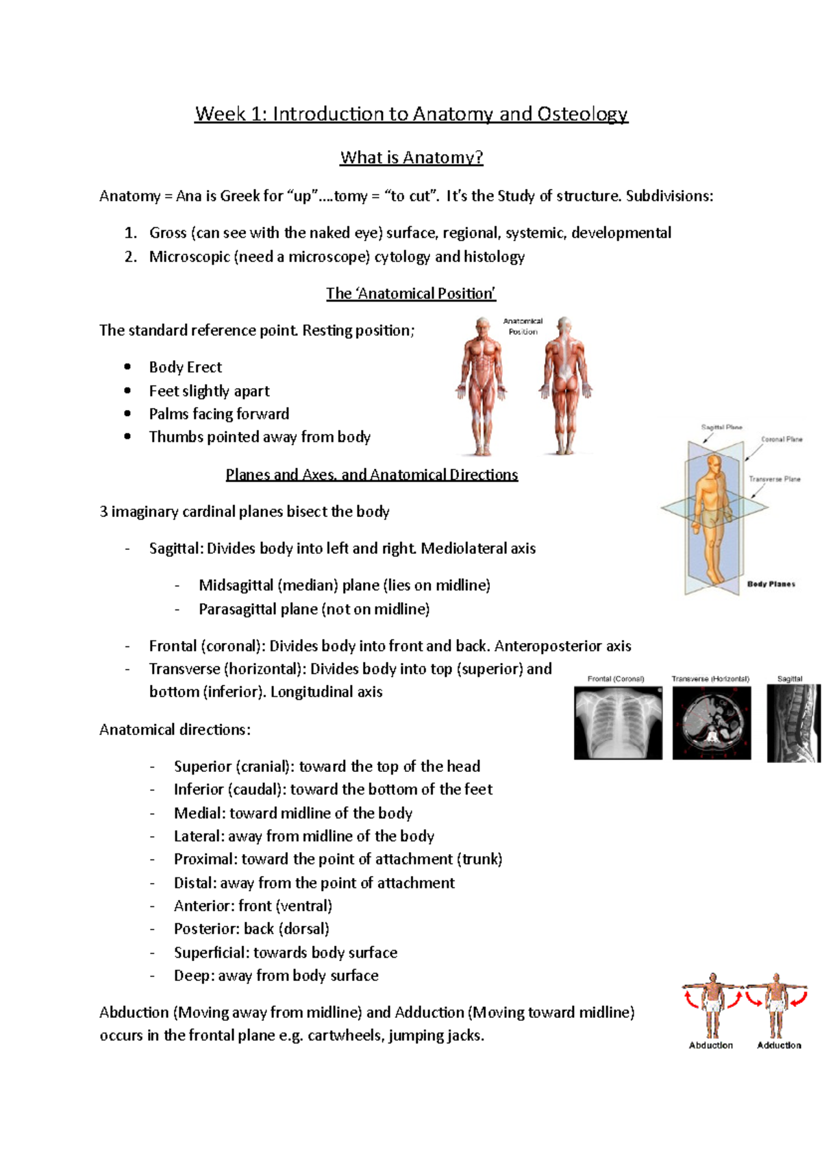 FMA notes - Week 1: Introduction to Anatomy and Osteology What is ...