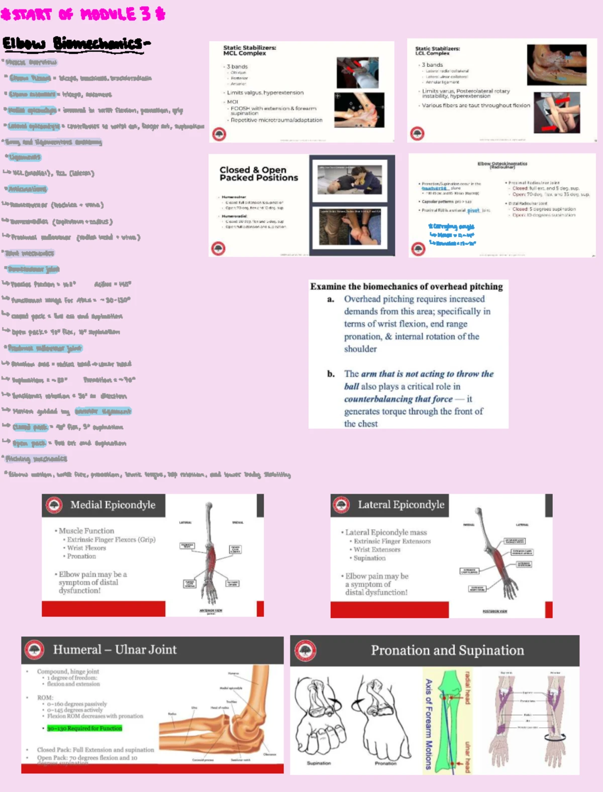 MSK IV - Exam 2 - Comprehensive Guide to Upper Limb Nerve Assessments ...