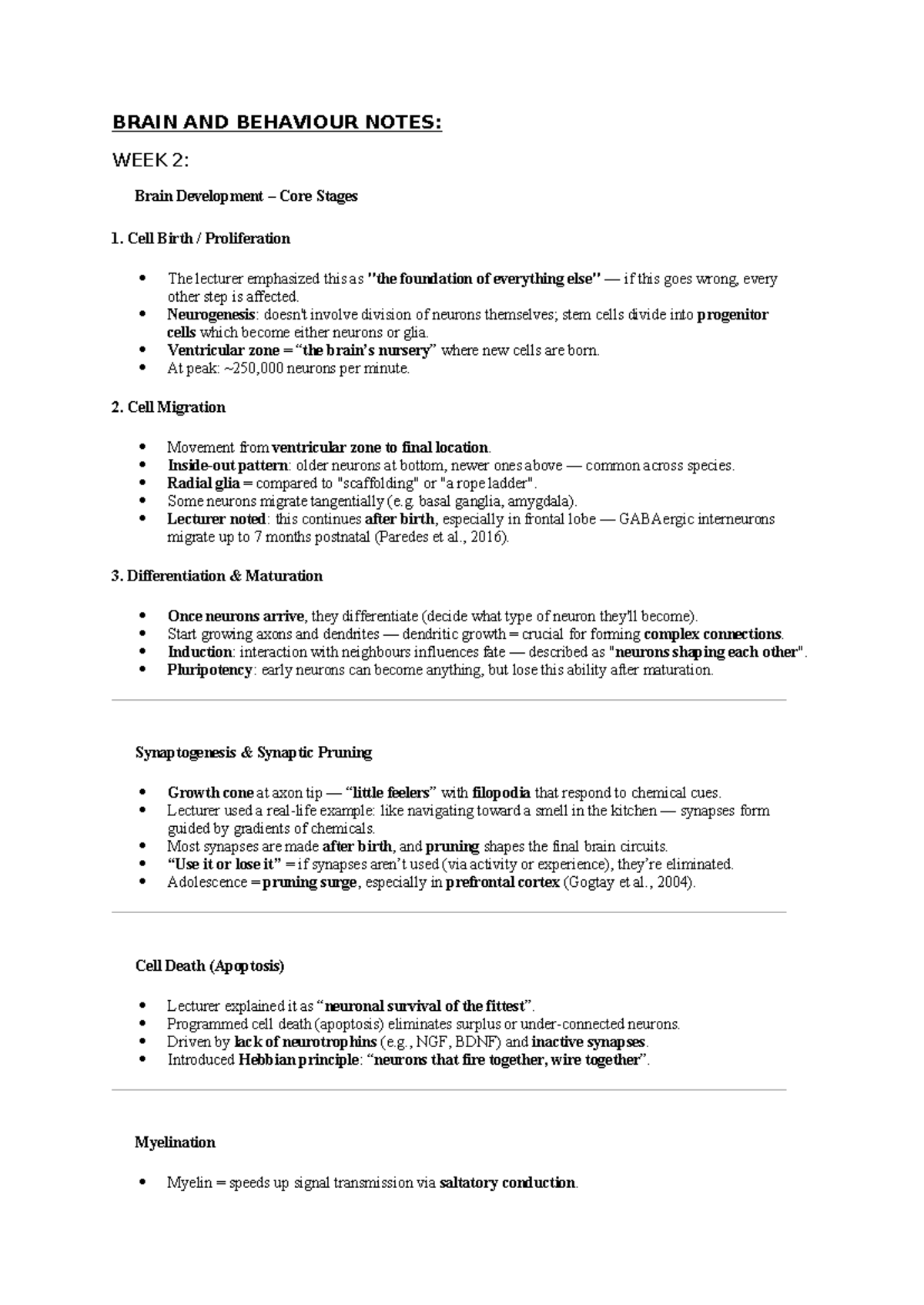 BRAIN AND BEHAVIOUR NOTES: WEEK 2 - Brain Development Stages and ...