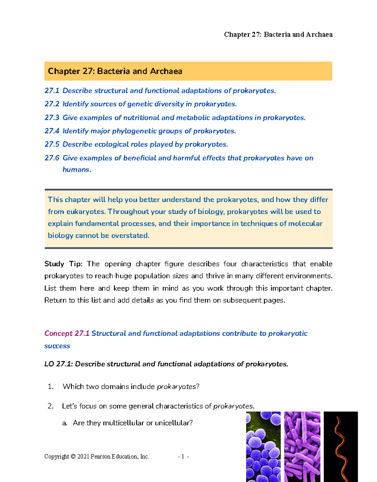 AP Biology: Chapter 27 - Bacteria and Archaea Study Guide - Studocu
