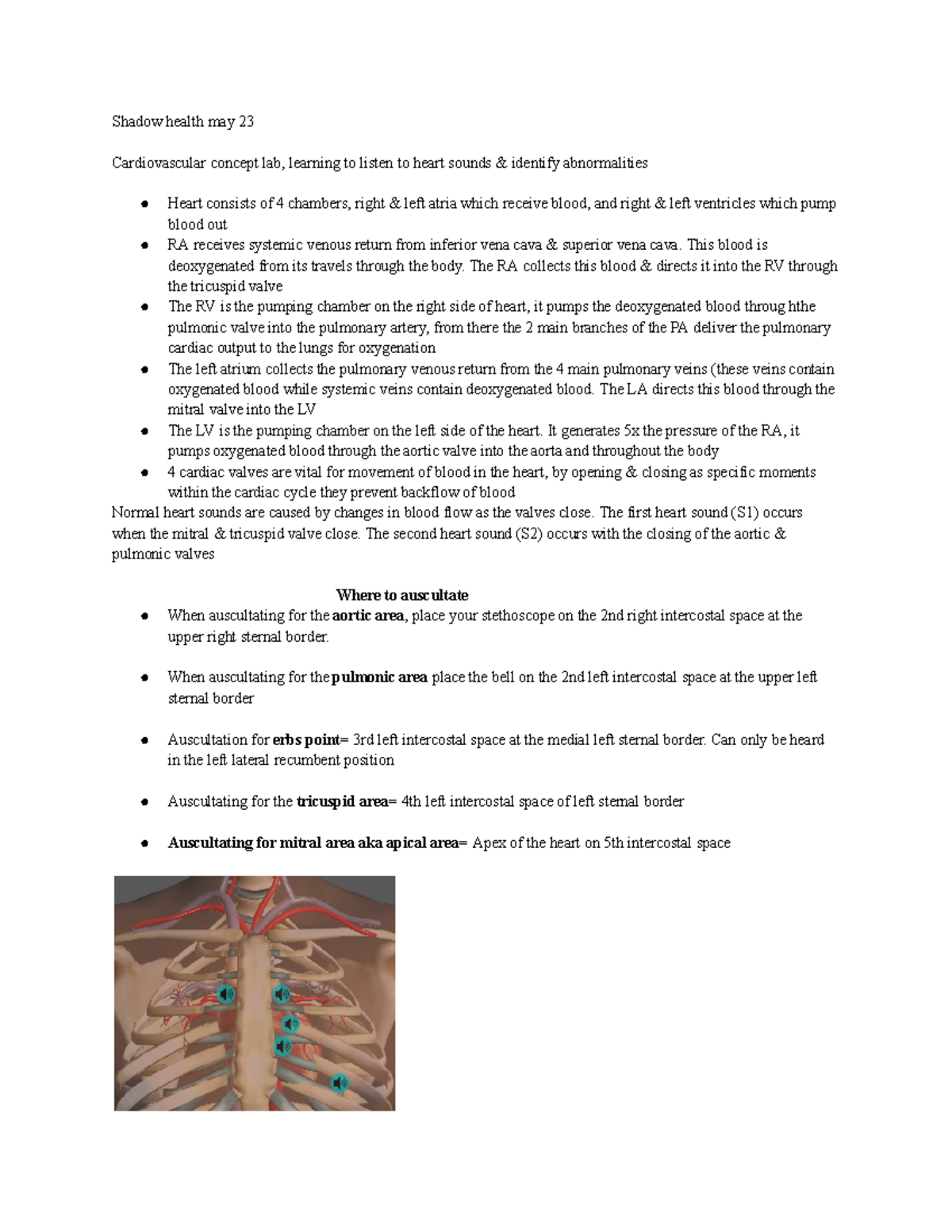Shadow Health: Heart Sounds Concept Lab - Part 1 Analysis - Studocu
