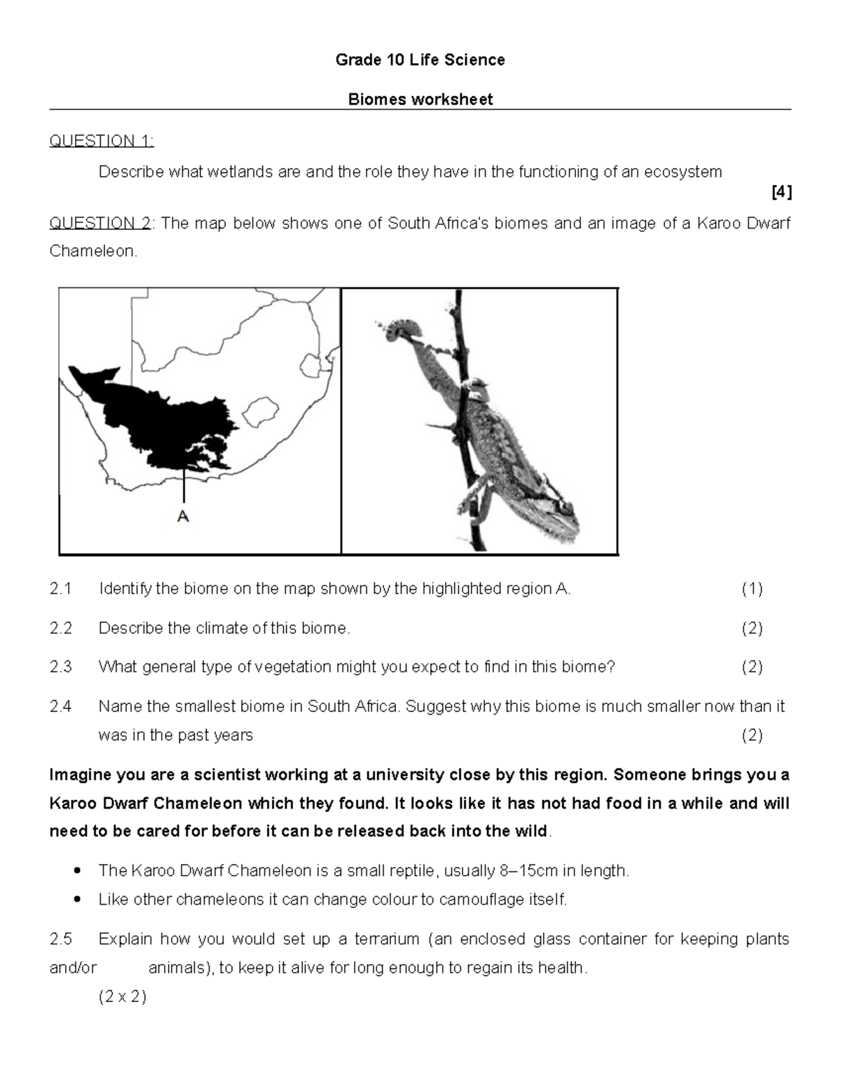 Grade 10 Life Science - Worksheet 4 Biomes Lecture Notes - Studocu