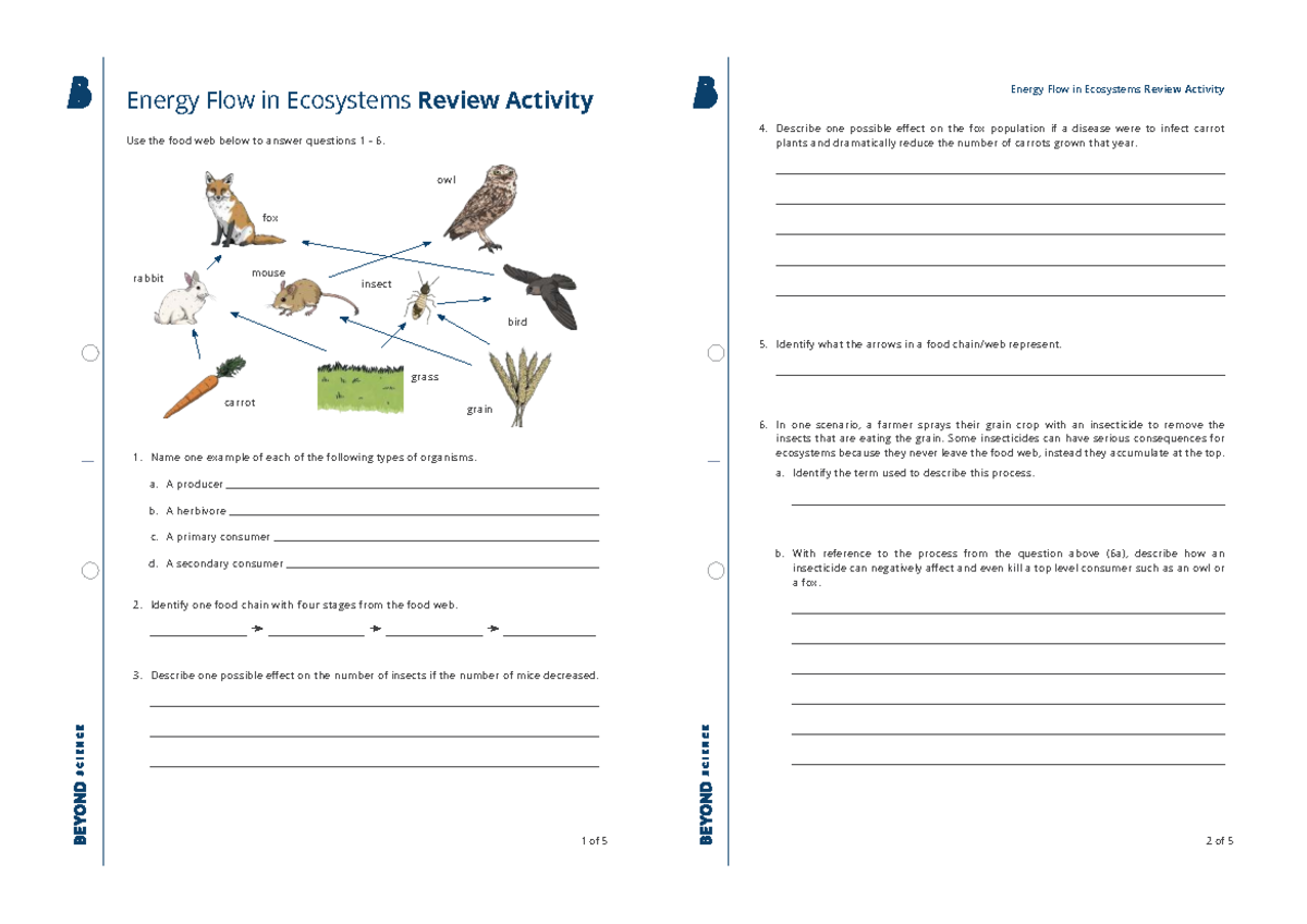 Ecosystems Revision Worksheet: Energy Flow in Ecosystems Activity - Studocu