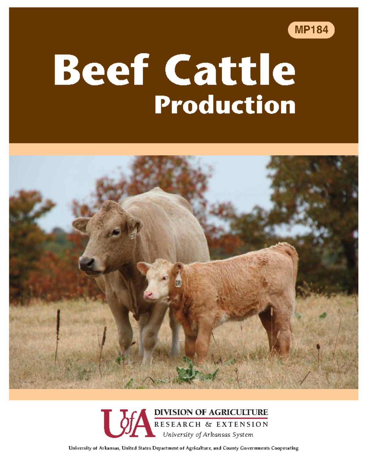 MP184 Beef Cattle Production: Insights and Management Strategies - Studocu