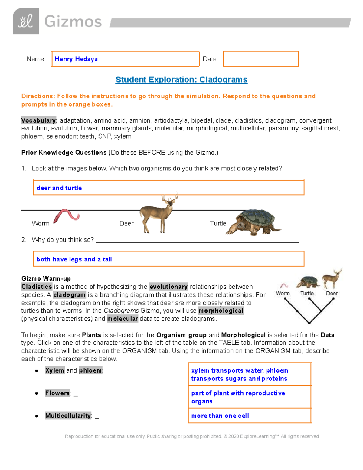 Cladograms Simulation Answers - BIO 101 Final Exam - Studocu