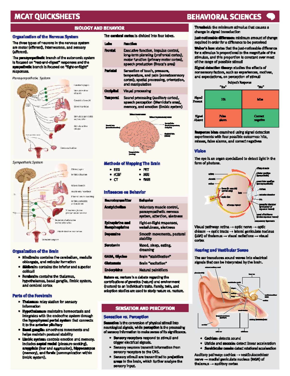 MCAT QUICKSHEETS: COMPREHENSIVE STUDY GUIDE FOR BIOLOGICAL SCIENCES ...