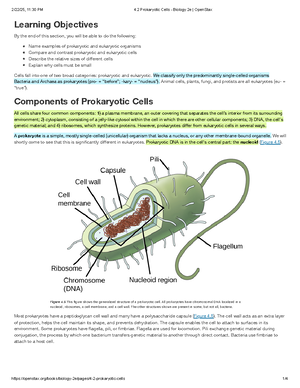 Eukaryotic Cells Structure and Function - Biology 2e (Chapter 4.3 ...