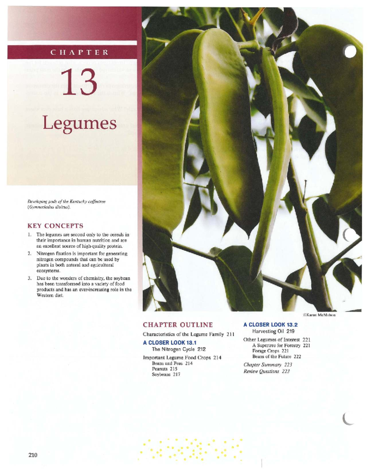 Legumes: Importance, Characteristics, and Uses in Nutrition (BIO 101 ...