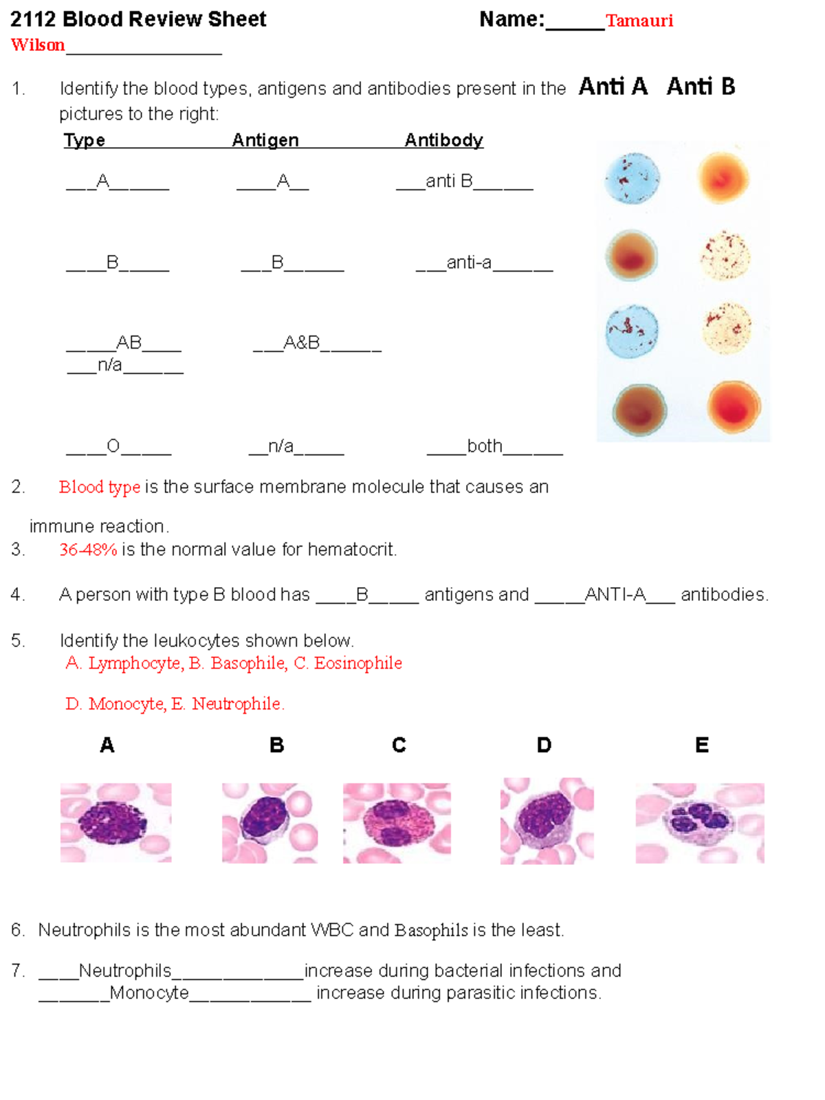 2112 Blood Review Sheet - Key Concepts and Definitions - Studocu