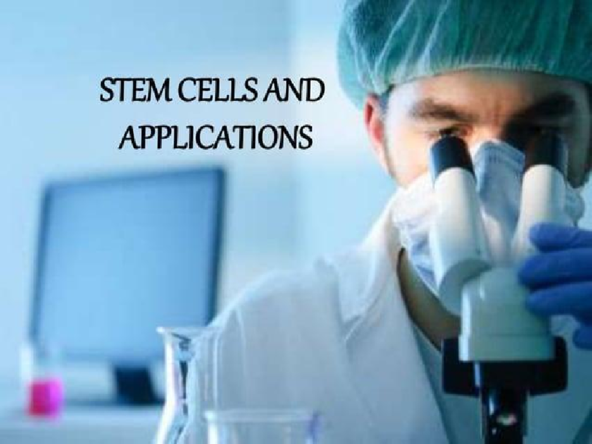 STEM 101: Stem Cell Biology and Applications Overview - Studocu