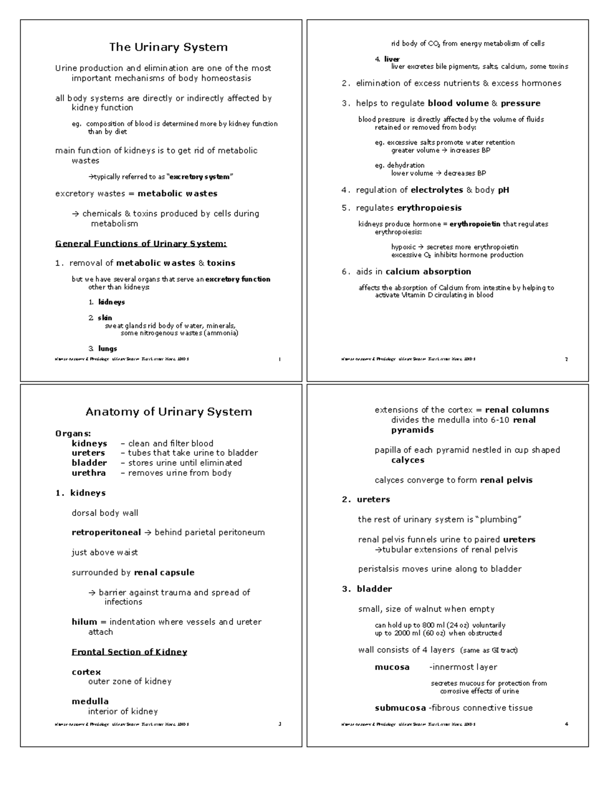 Human Anatomy & Physiology: Urinary System Lecture Notes (O.Urinary ...