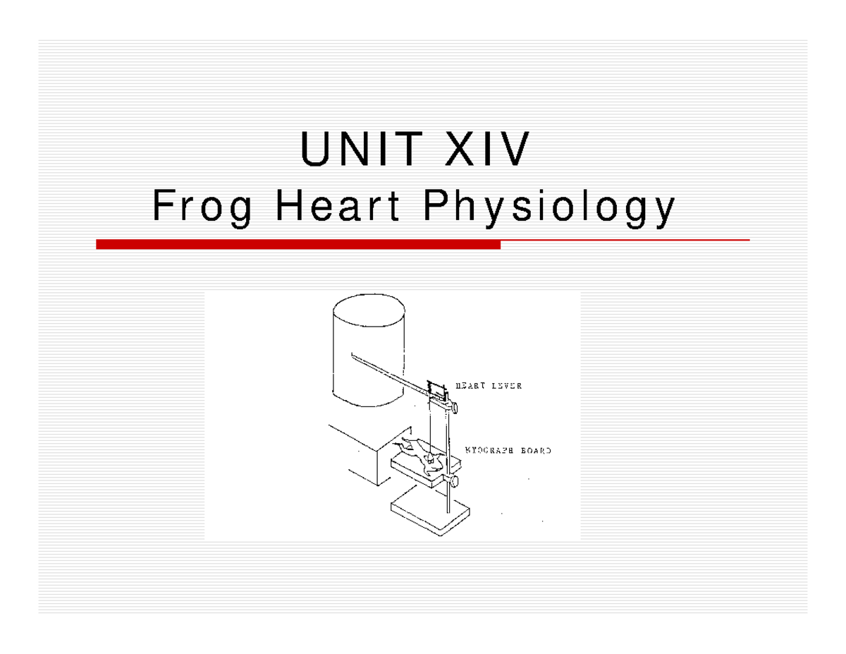 Frog Heart Physiology: Unit XIV Study on Cardiac Function and Control ...