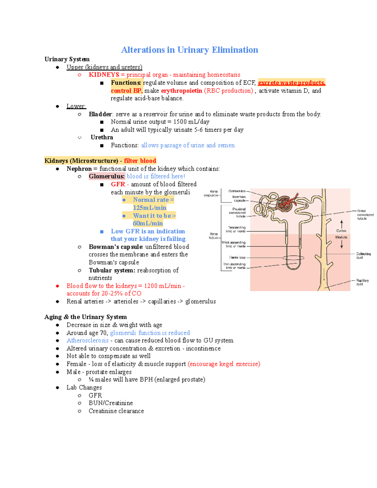 Urinary Alterations: Management of UTI, Kidney Stones, and BPH ...