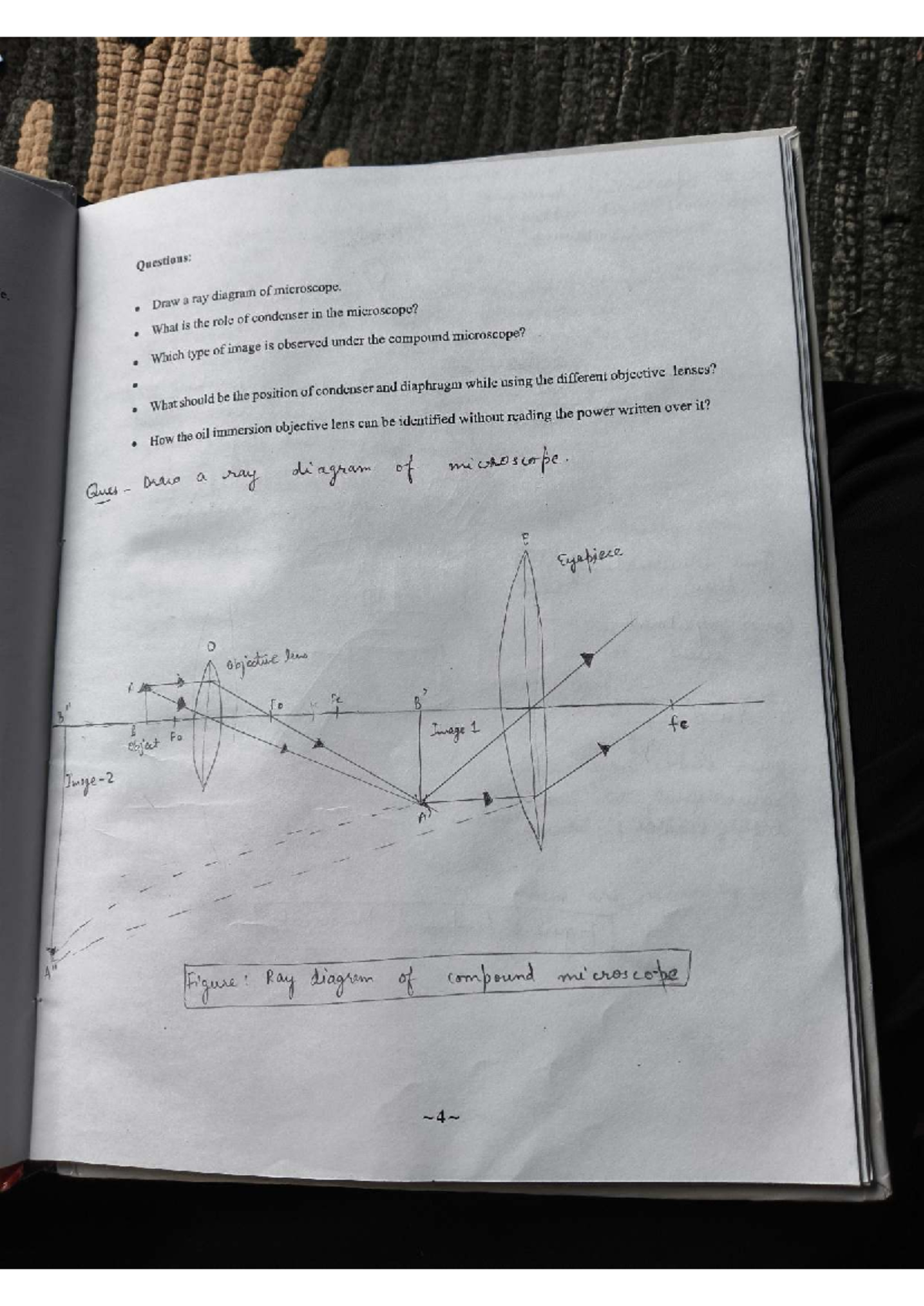 Hematology Study Guide: Key Concepts and Techniques (MBBS) - Studocu