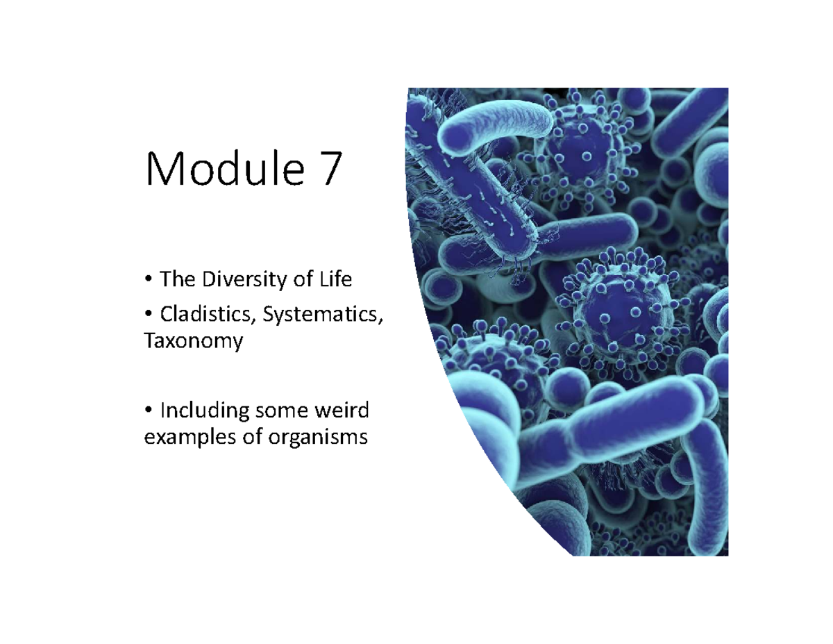 Biology Module 7: Diversity of Life & Classification Overview - Studocu