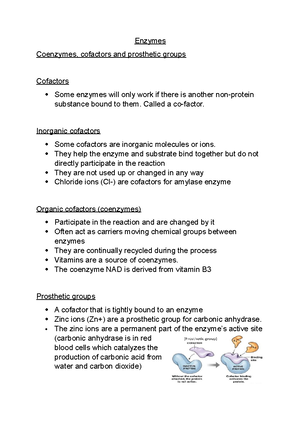 A Level Biology Risk Assessment P6 - Title of practical: Use of aseptic ...