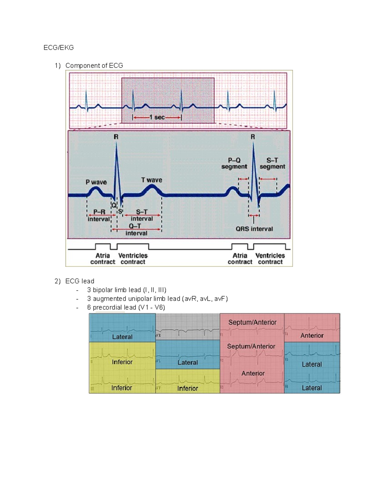 ECG EKG - Ecg - ECG/EKG Component of ECG ECG lead 3 bipolar limb lead ...