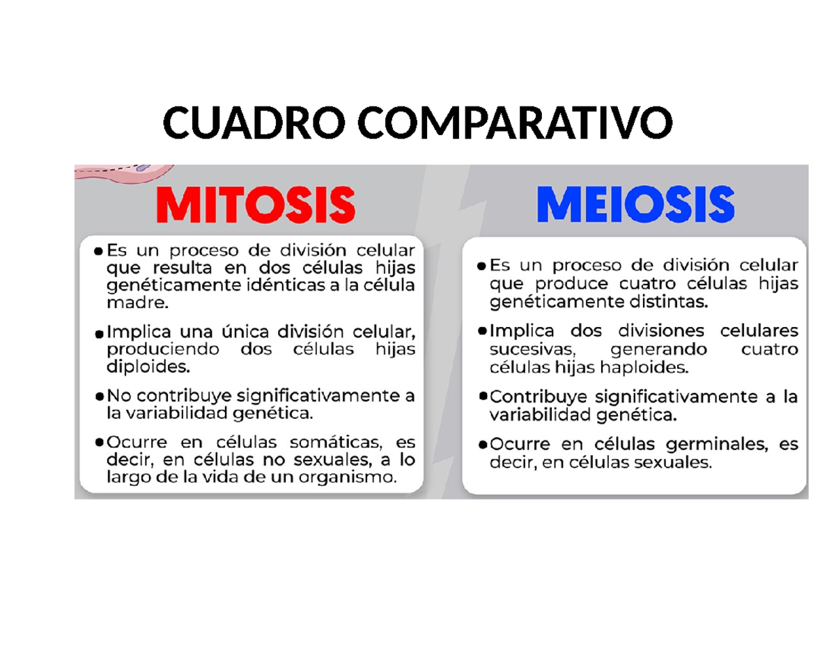 Cuadro Comparativo - division celular - CUADRO COMPARATIVO MITOSIS MEIOSIS Es un proceso de ...