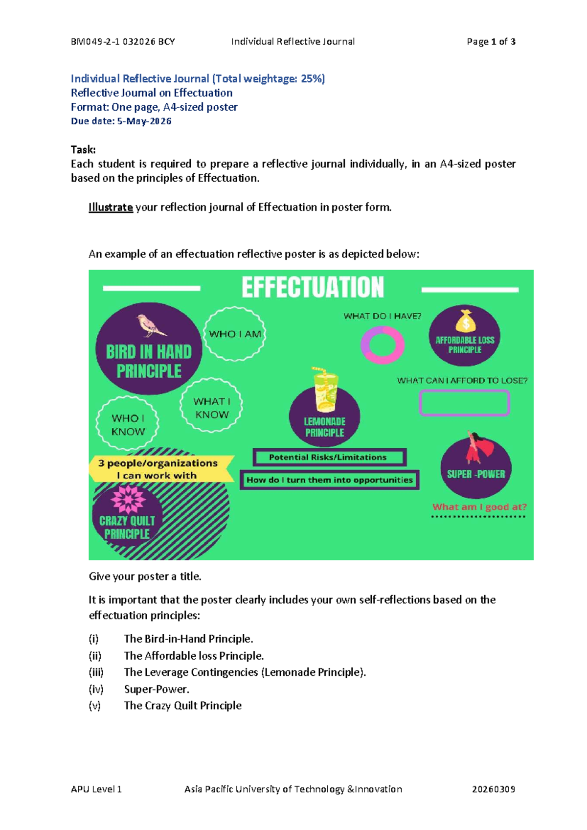 032026 BCY Individual Reflective Journal on Effectuation Principles ...