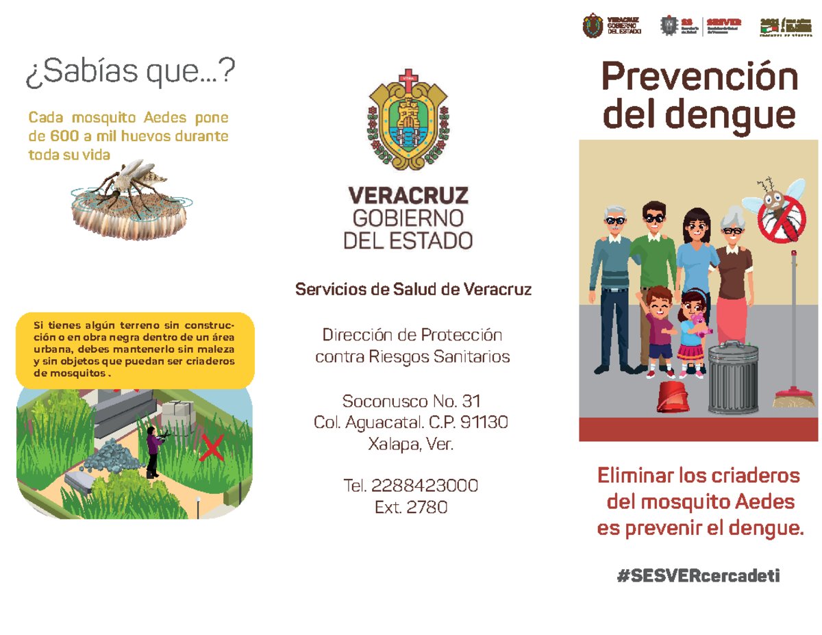 Triptico - Prevención del Dengue #SESVER Cuidado Sanitario - Studocu