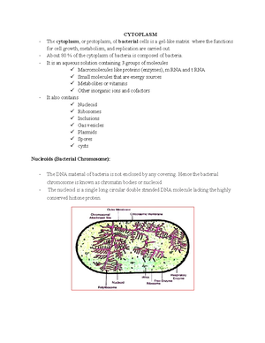 ETC IN Bacteria - ETC IN BACTERIA ETC consists of a series of carrier ...