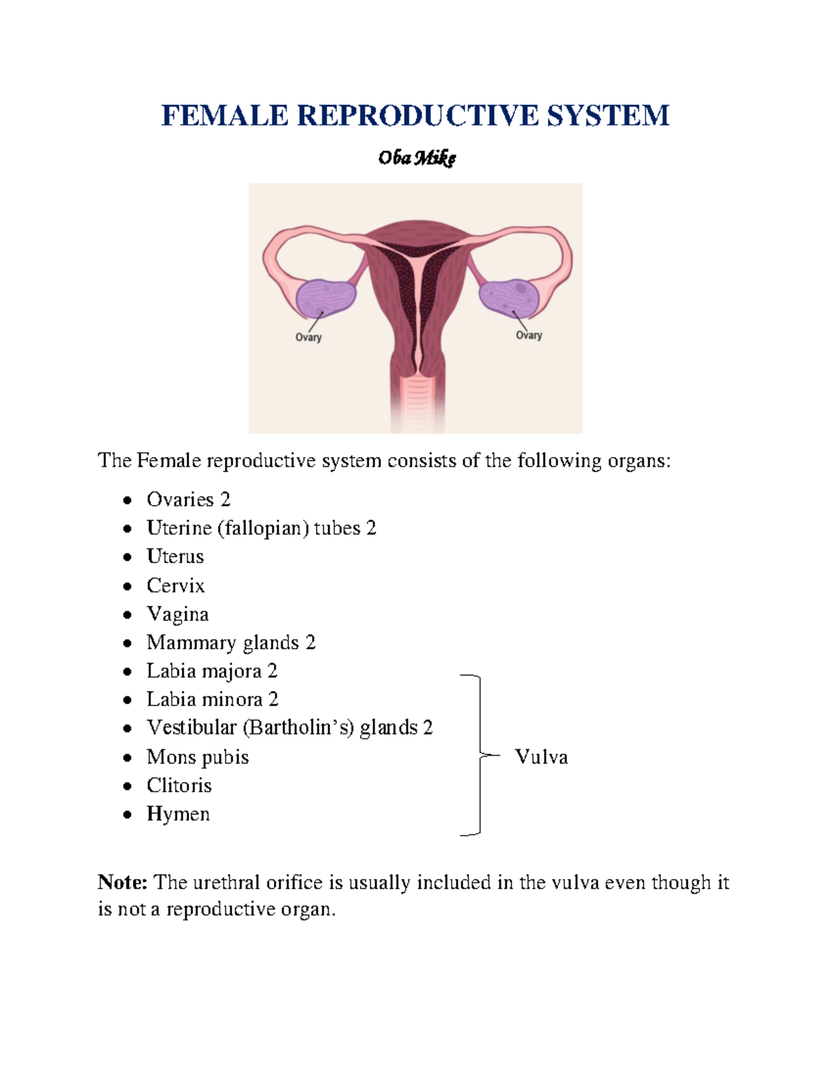 Female Reproductive System Overview: Anatomy & Functions (BIO 101) - Studocu