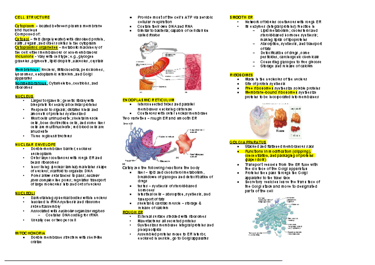 Cell Structure Review Notes for Biology 101 (BIO101) - Studocu