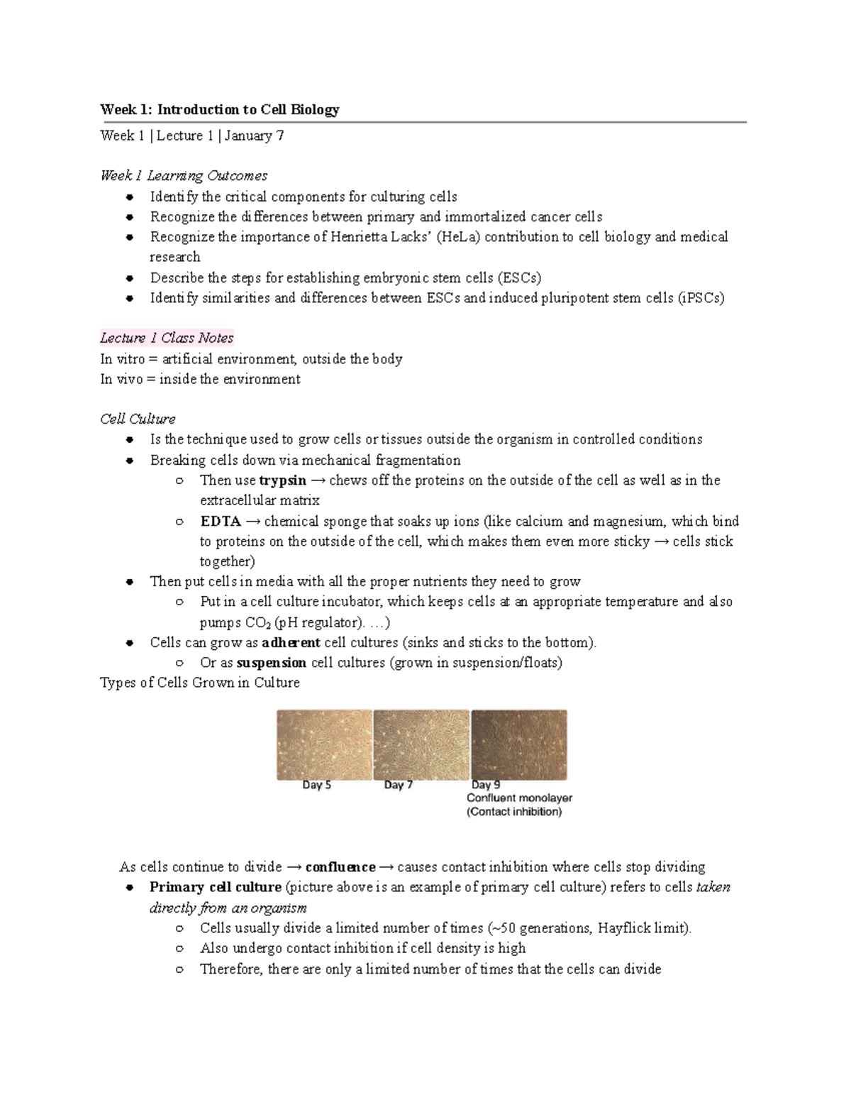Week 1 Lecture: Introduction to Cell Biology and Stem Cells - Studocu