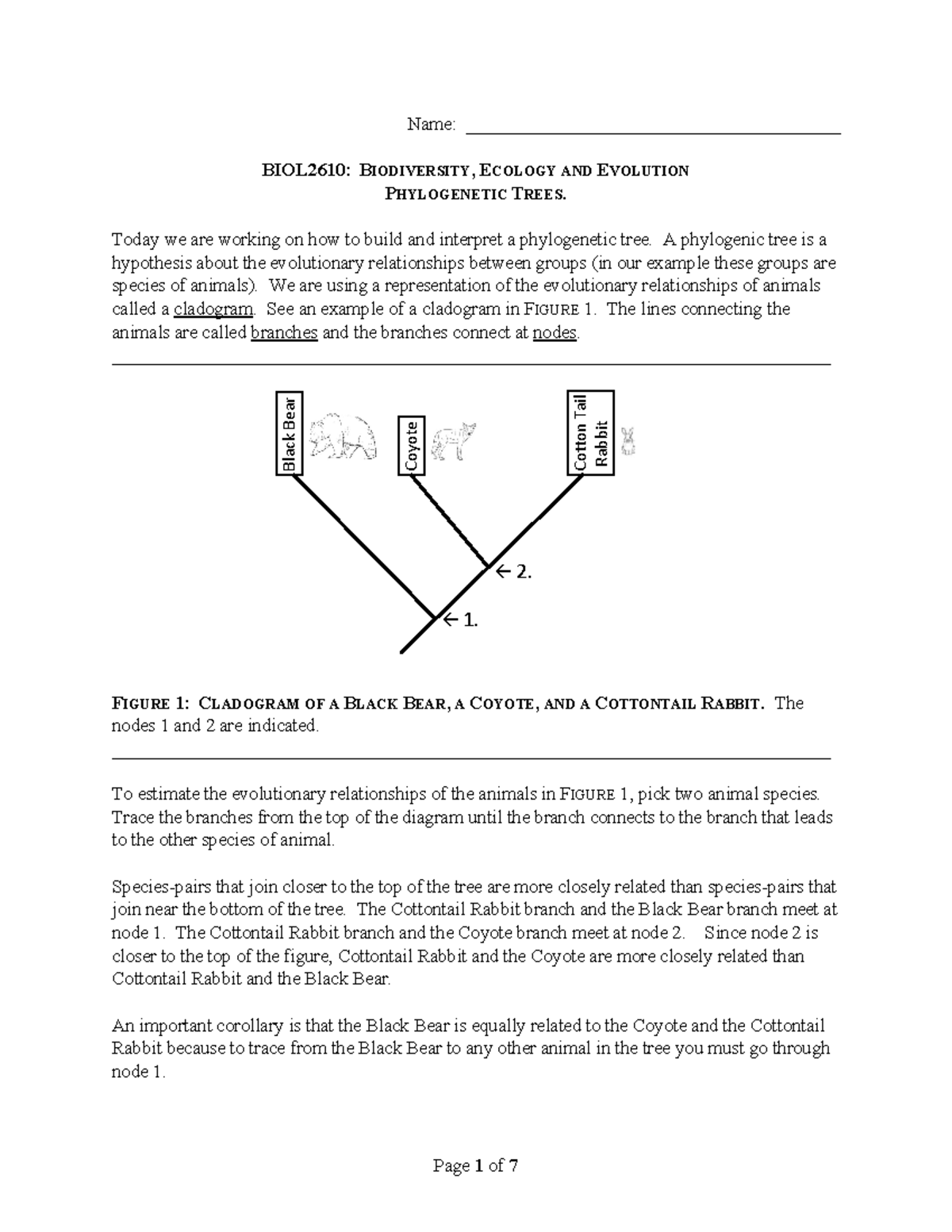 BIOL2610 Final Exam Notes: Building and Interpreting Phylogenetic Trees ...