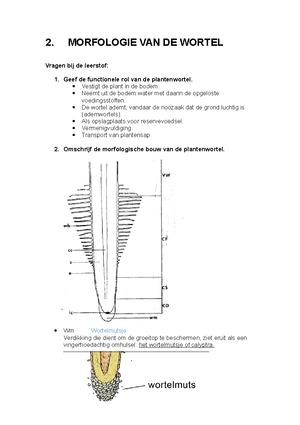 Samenvatting plant morfologie - Hoofdstuk 1: De bouw van wortel ...