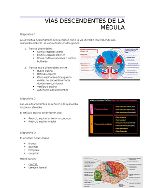 Signos Abdominales - SIGNOS ABDOMINALES SIGNO DESCRIPCIÓN DIAGNÓSTIC O ...