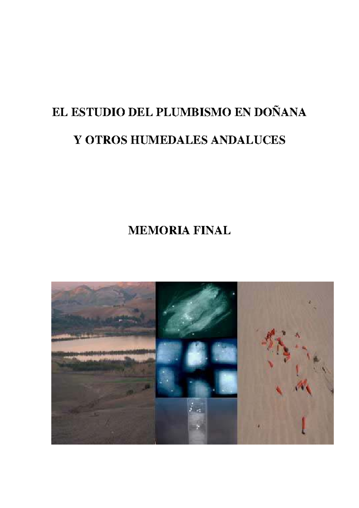 Informeplomo - Informe sobre el plumbismo en aves en áeres protegidas ...
