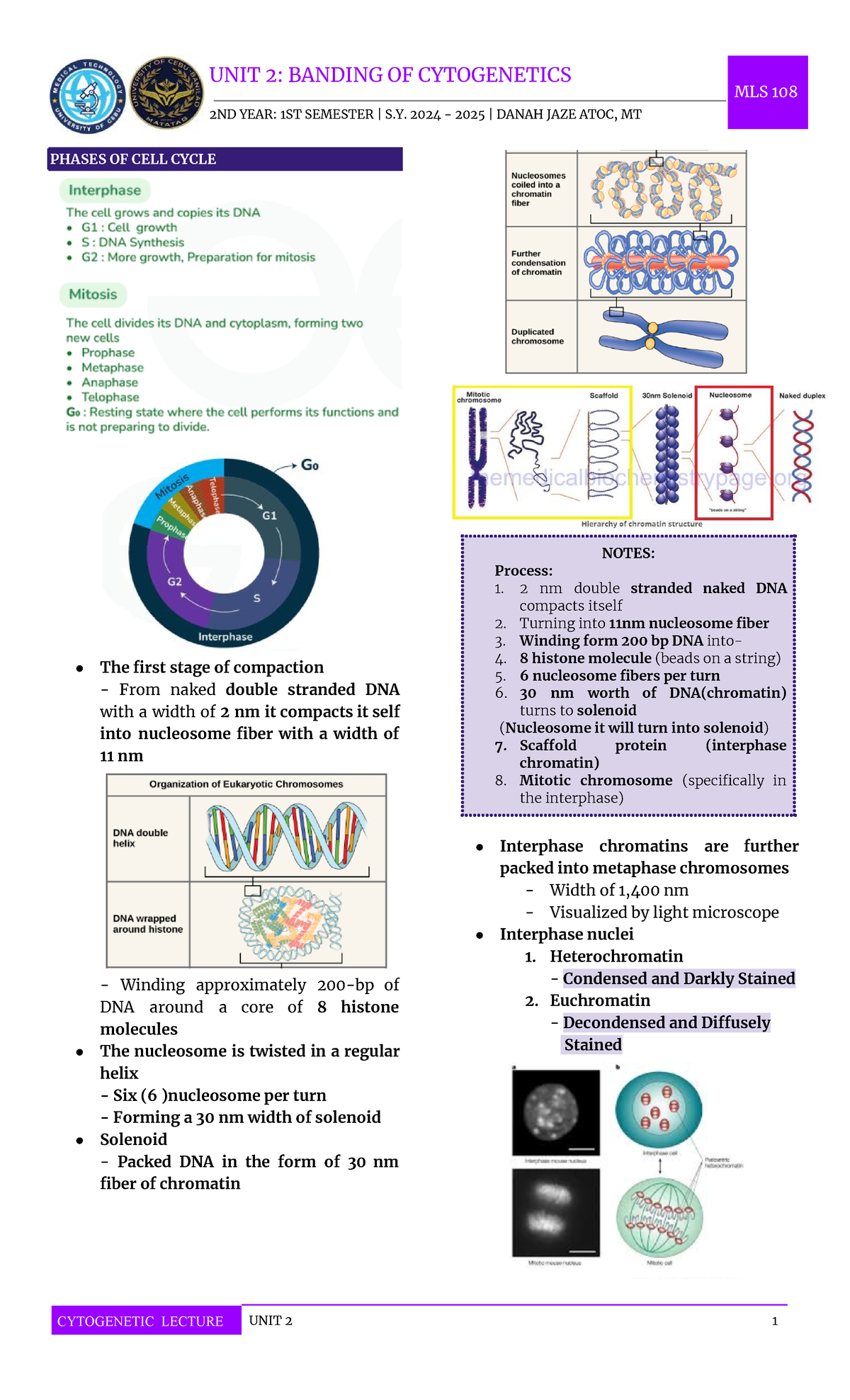 [MLS 108] Lecture UNIT 2 - PHASES OF CELL CYCLE The first stage of ...